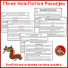Chinese New Year Reading Comprehension Passages and Questions - Print ...