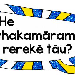 Maths Talk Moves Te Reo Posters and Discussion Cards Set - Top Teaching ...