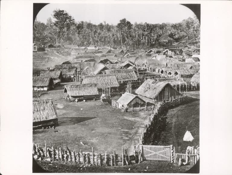 New Zealand History Teaching Topics You Must Explore - Top Teaching Tasks