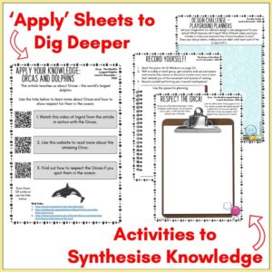 NZ School Journal Level 2 November 2020 Activities | Paper-based and ...