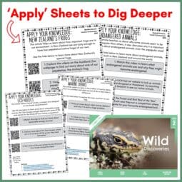 Connected Level 2 2019 Wild Discoveries | NZ School Journals - Top ...