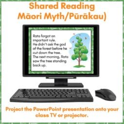Rata and the Totara Tree Shared Reading, Activities and Discussion ...