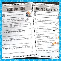 Blue PM Reader Activities Level 9, 10, and 11 | Junior Primary New ...