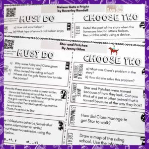 Purple PM Reader Activities Level 19 and 20 | Year 3 and 4 New Zealand ...