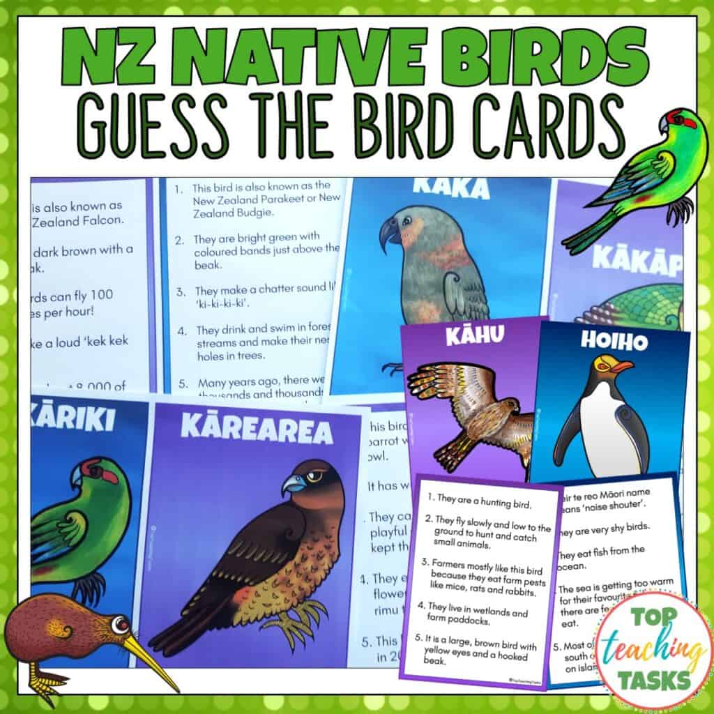 New Zealand Native Birds - Lower Level Passages | Volume One - Top ...