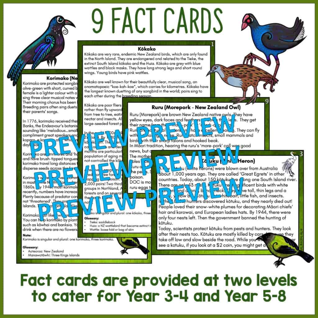 New Zealand Native Birds Scavenger Hunt Reading Activity Volume 2 - Top ...