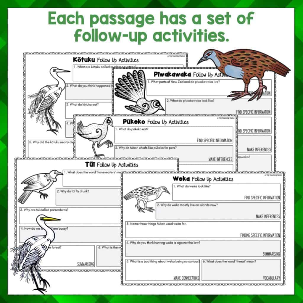 New Zealand Native Birds - Lower Level Passages | Volume Two - Top ...