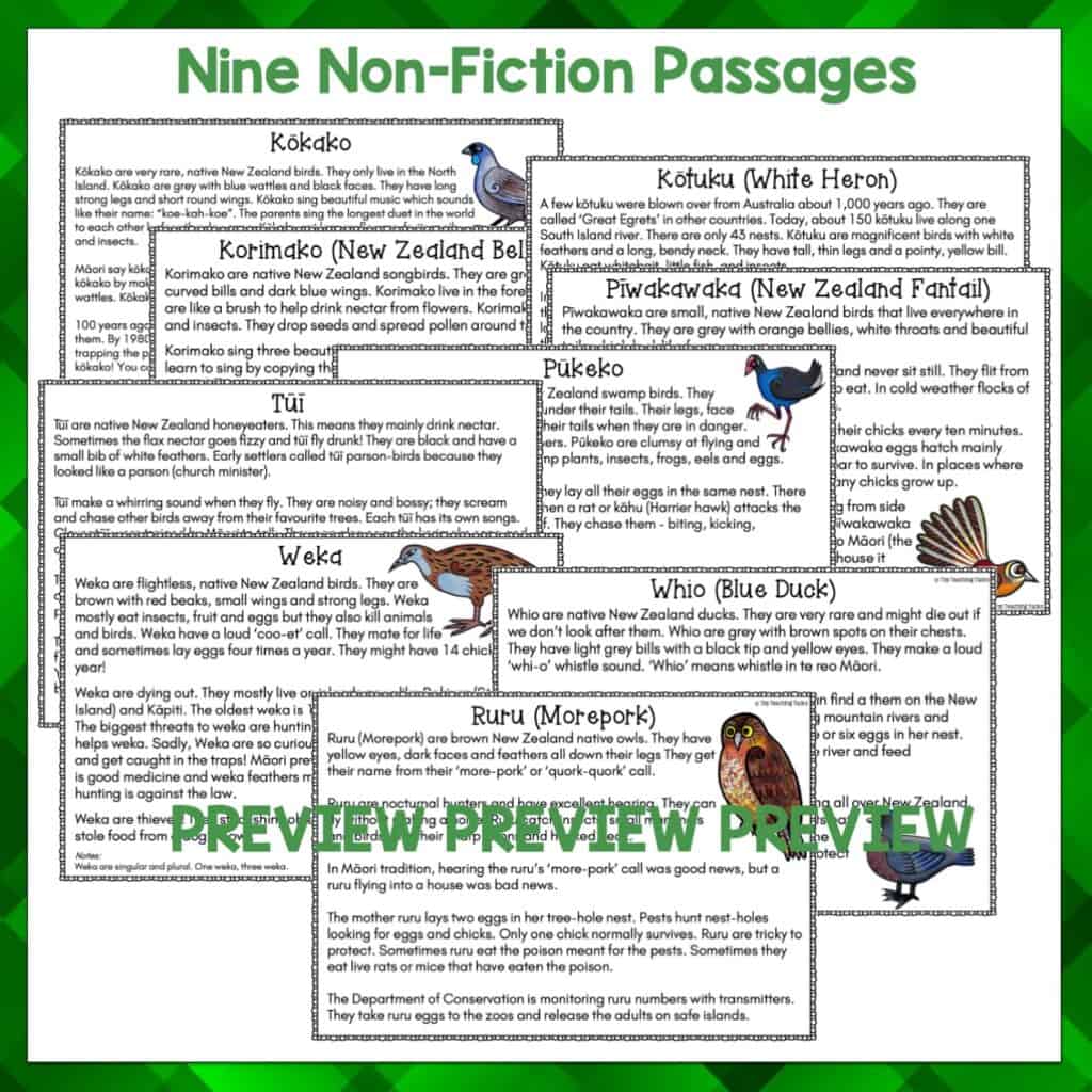 New Zealand Native Birds - Lower Level Passages | Volume Two - Top ...