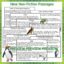 New Zealand Native Birds - Lower Level Passages | Volume One - Top ...