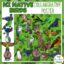 New Zealand Native Birds - Lower Level Passages | Volume One - Top ...