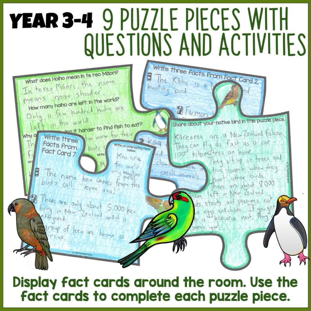 New Zealand Native Birds Reading Comprehension Activity Volume 1 - Top ...