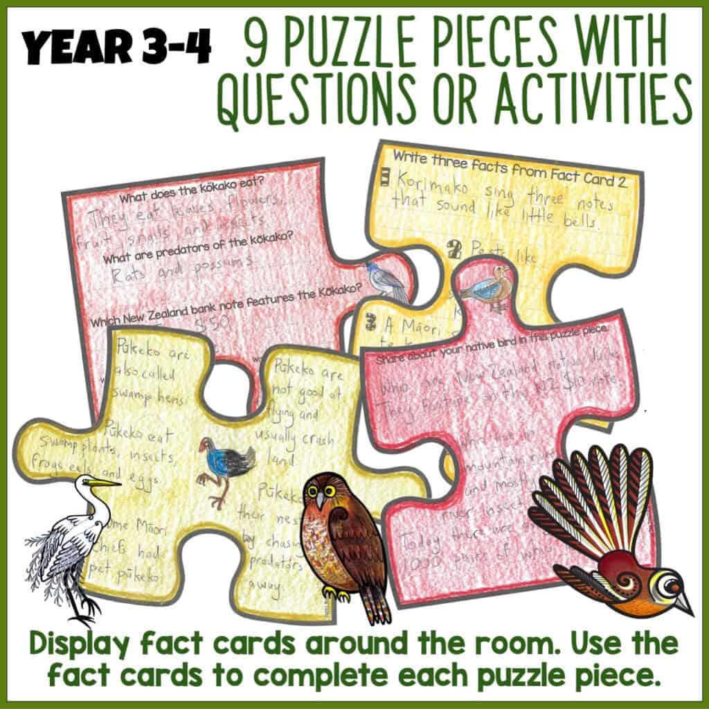 New Zealand Native Birds Scavenger Hunt Reading Activity Volume 2 - Top ...