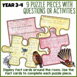 New Zealand Native Birds Scavenger Hunt Reading Activity Volume 2 - Top ...