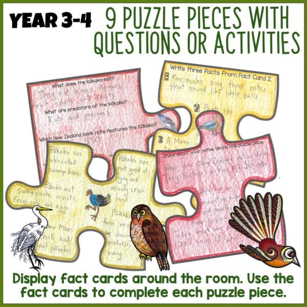 New Zealand Native Birds Scavenger Hunt Reading Activity Volume 2 - Top ...