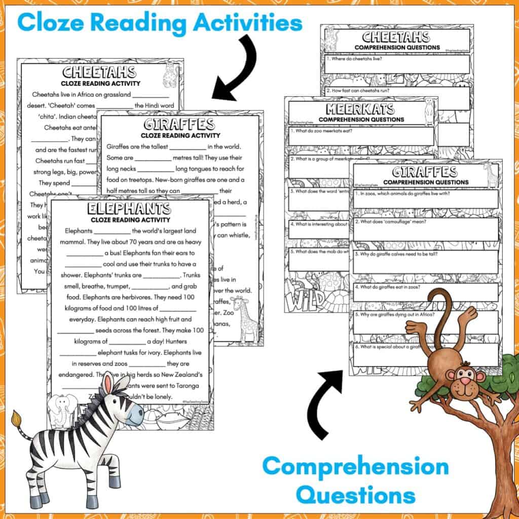Zoo Animals Reading Activities for Year 3 - Top Teaching Tasks