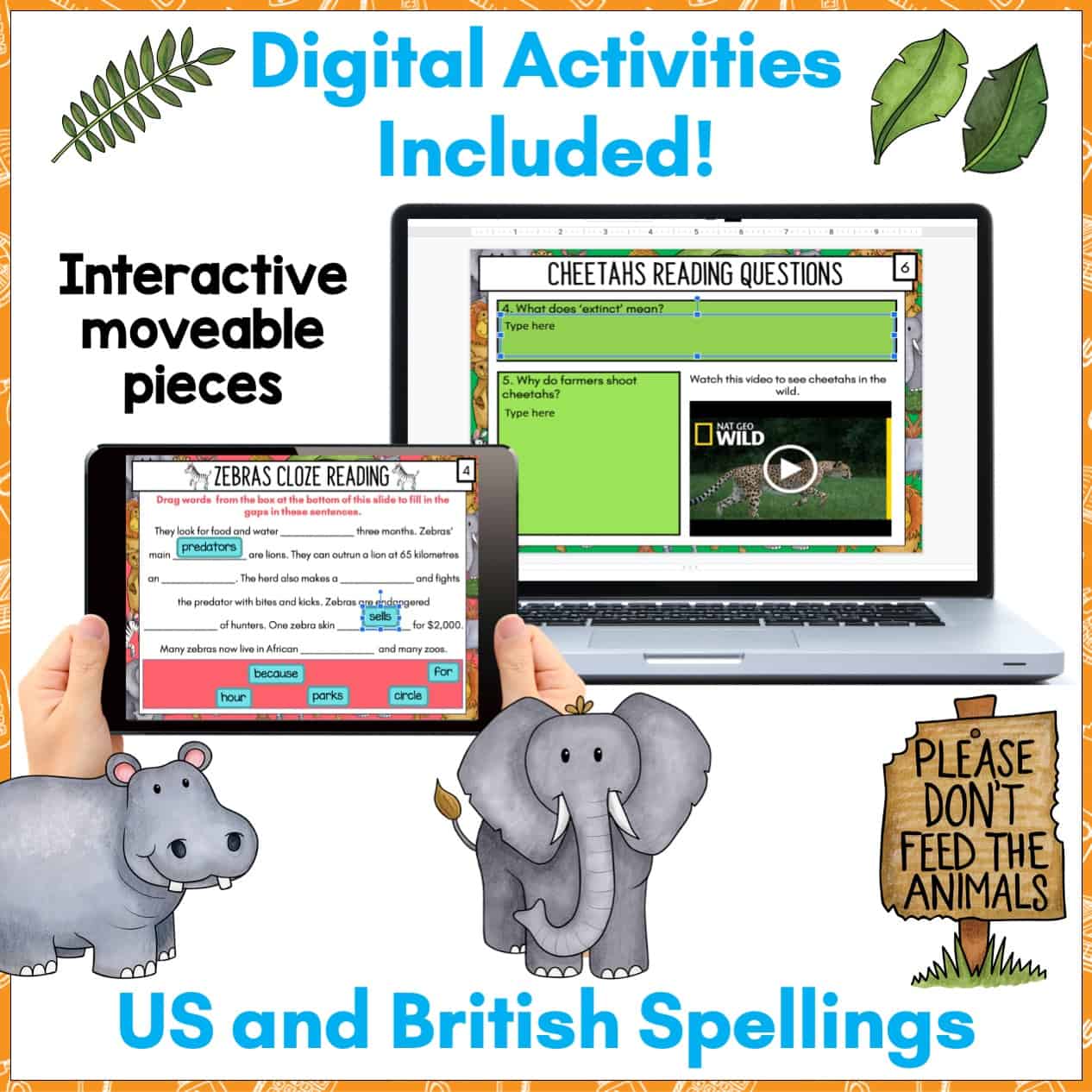Zoo Animals Reading Activities for Year 3 - Top Teaching Tasks