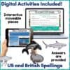 Ocean Creatures Reading Comprehension Activities for Year 3 - Top ...