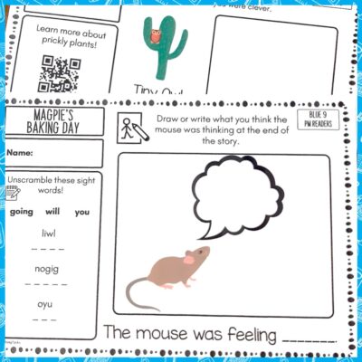 Blue Level 9 PM Readers Follow Up Activities - Top Teaching Tasks