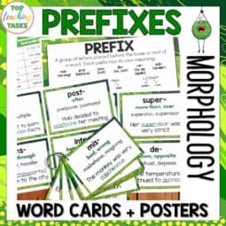 Prefixes, Suffixes and Greek and Latin Root Word Posters and Vocabulary ...