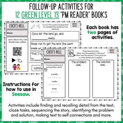 Green Level 13 PM Readers Follow Up Activities - Top Teaching Tasks