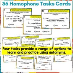 Homophones Task Cards | Semantics Task Cards - Top Teaching Tasks