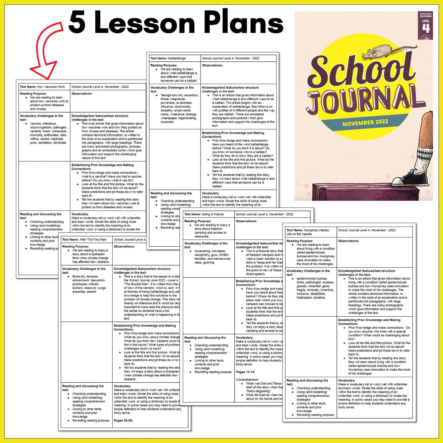 NZ School Journal Level 4 November 2022 Follow Up Activities - Top ...