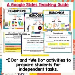Homophones, Homographs and Homonyms Digital Task Card Activities ...