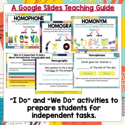 Homophones, Homographs and Homonyms Digital Task Card Activities ...