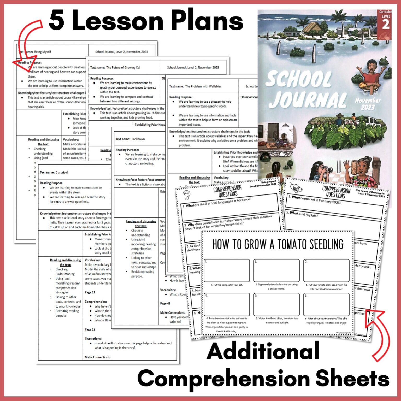 NZ School Journal Level 2 November 2023 Follow Up Activities - Top ...
