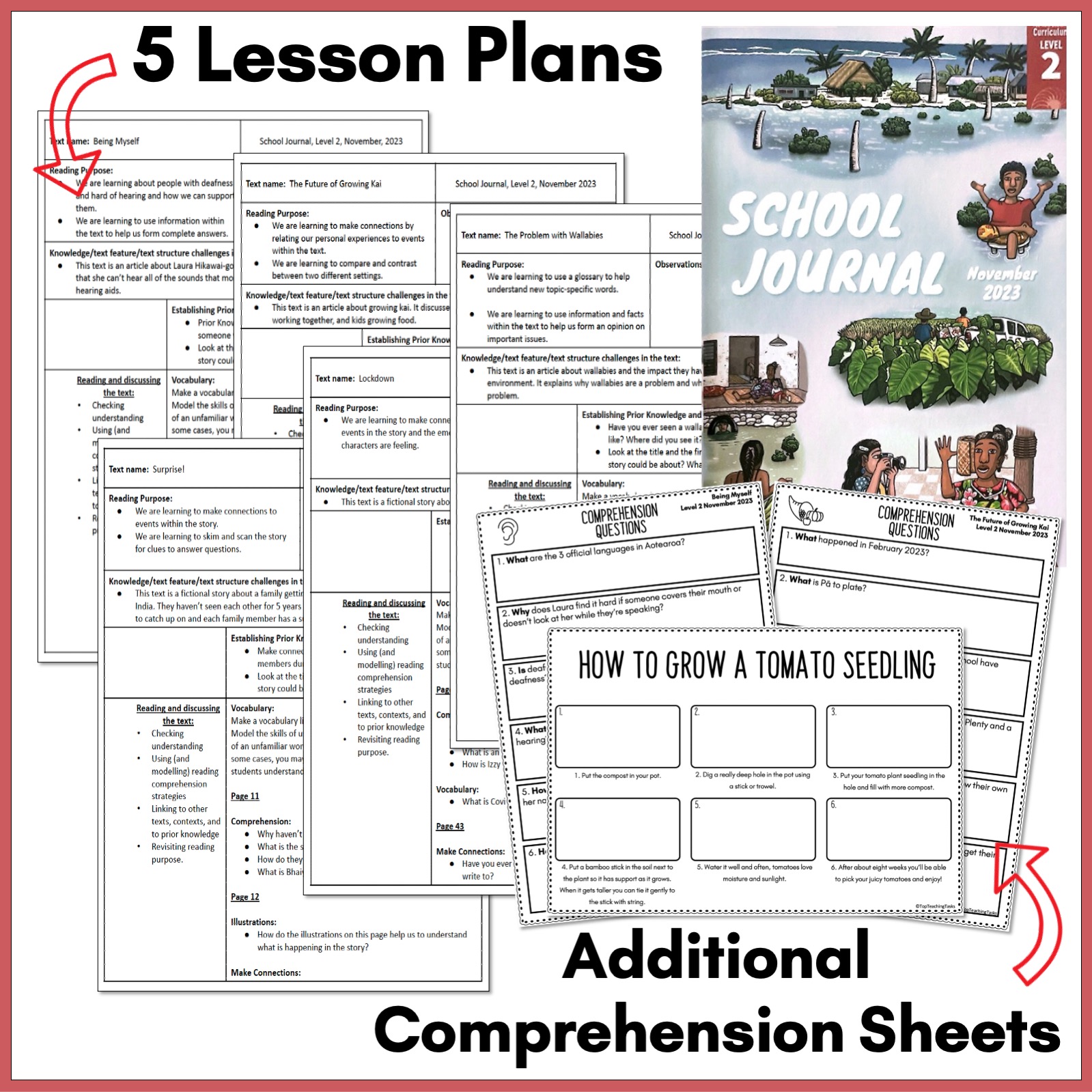 NZ School Journal Level 2 November 2023 Follow Up Activities - Top ...